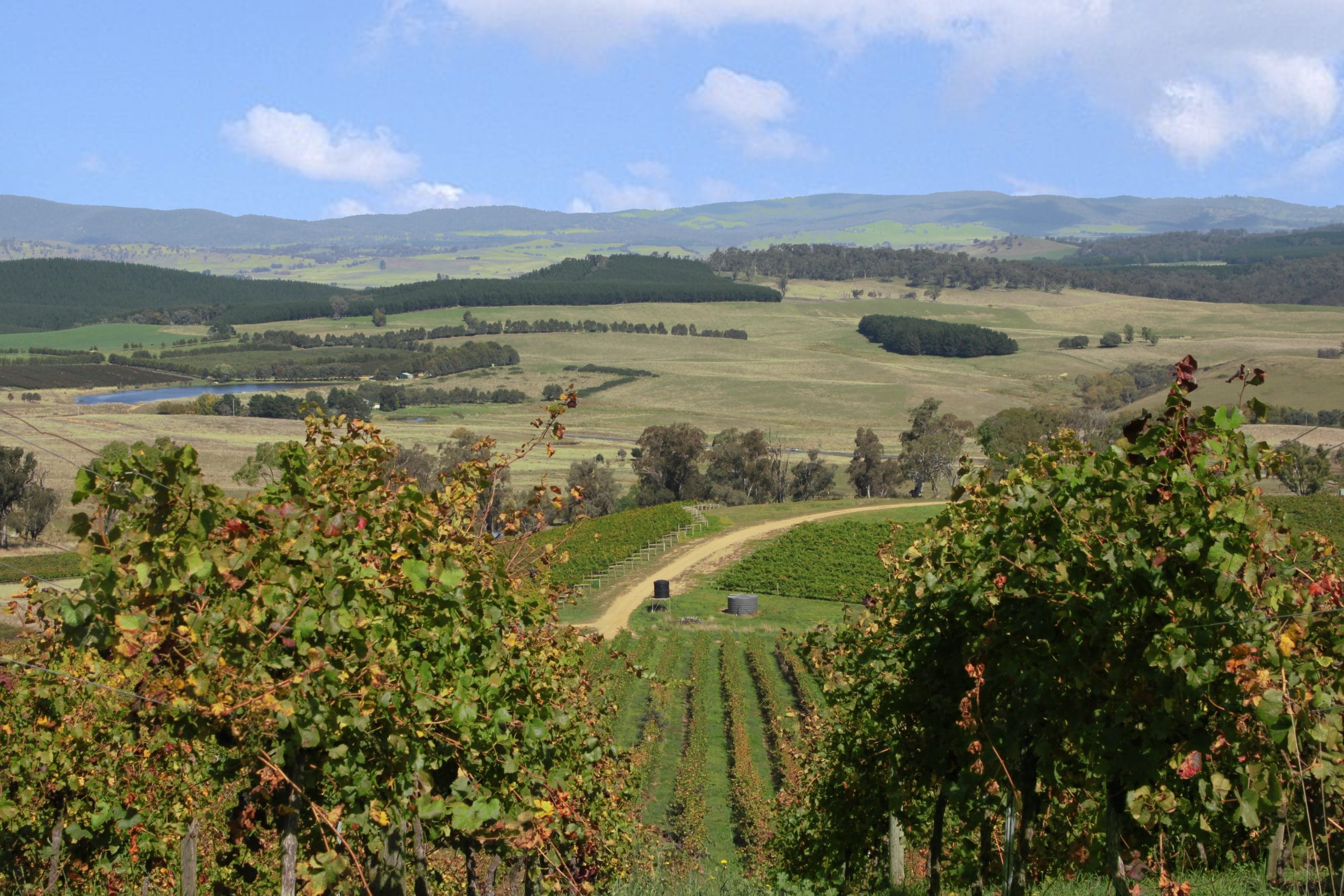 Coppabella of Tumbarumba